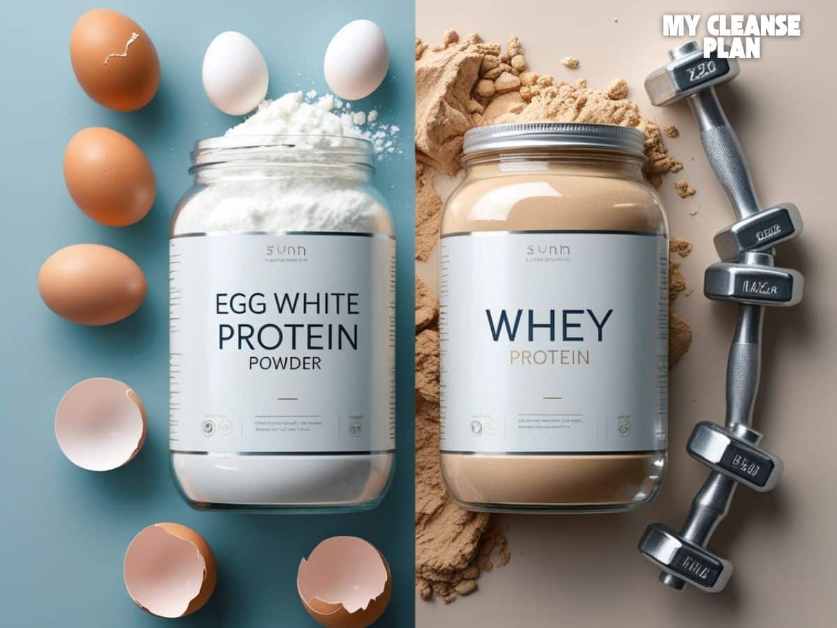 Egg White Protein Powder vs Whey: Which Is Better for You?